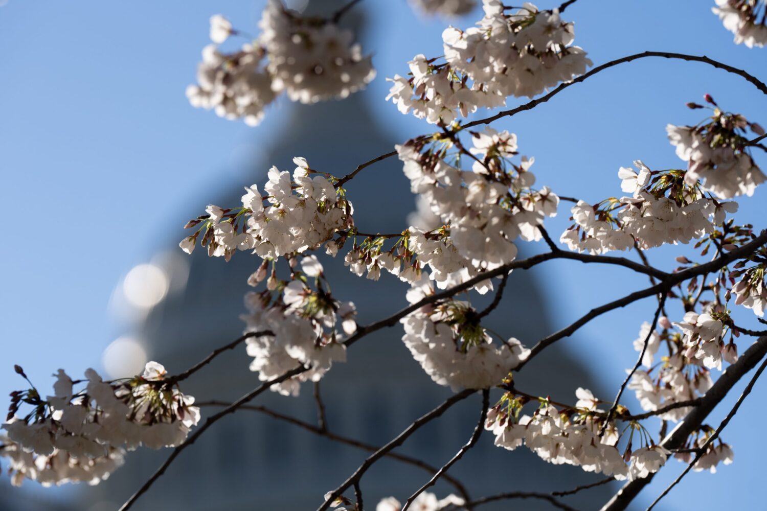 Top Spring Cleaning Projects in Colorado Top Spring Cleaning Projects in Colorado