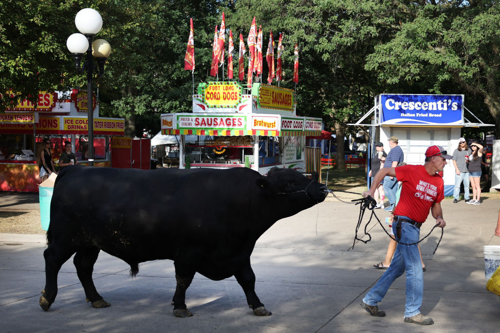 Enjoy 3 Colorado County Fairs This Weekend - KOSI 101.1